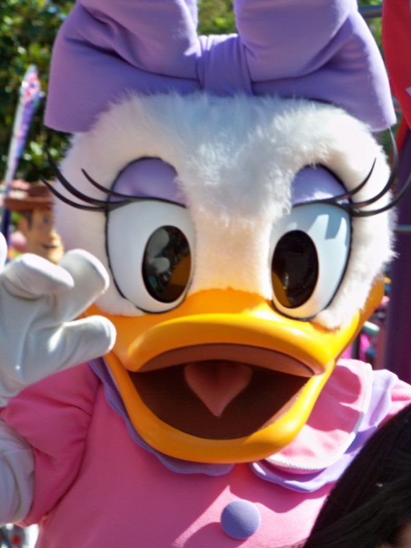 Katrien Duck